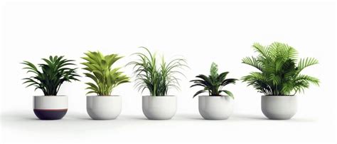 Planta En Maceta Con Diferentes Plantas En Macetas De Cer Mica Plantas