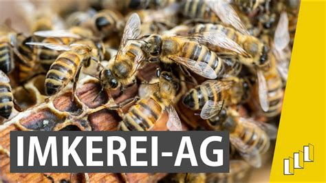 Imkerei AG Gymnasium Edenkoben YouTube
