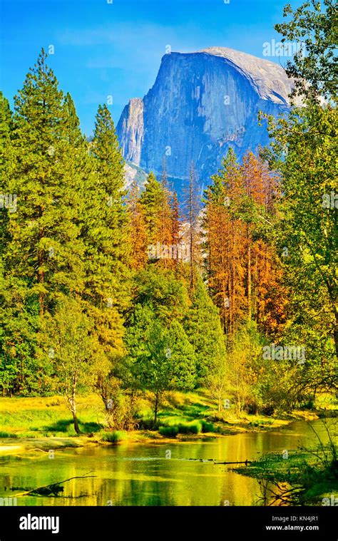 View Of Half Dome And Merced River From Yosemite Valley In Yosemite