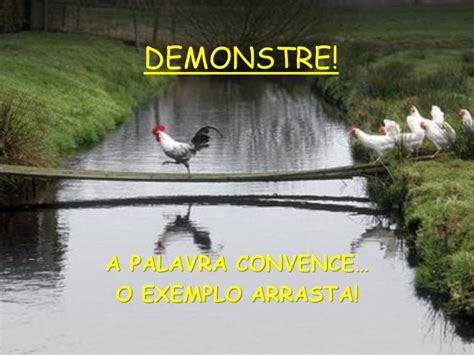 A Palavra Convence Mas O Exemplo Arrasta Vários Exemplos