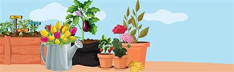 Introduction To Container Gardening Beginners Guide To Growing Your