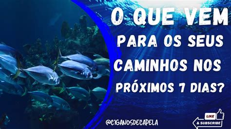 O QUE VEM PARA OS MEUS CAMINHOS NOS PRÓXIMOS 7 DIAS YouTube