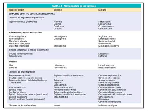 Características de neoplasias benignas y malignas PPT
