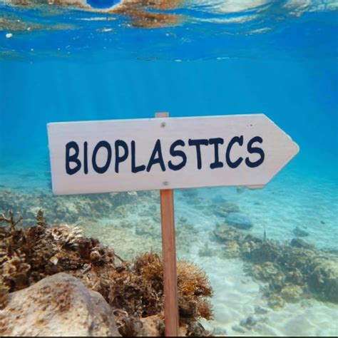 Bioplásticos Los Beneficios Ambientales Venvirotech