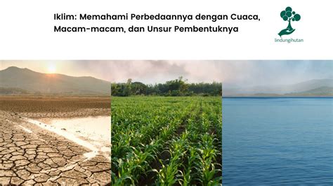 Iklim Memahami Perbedaannya Dengan Cuaca Macam Macam Dan Unsur