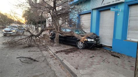 Violento impacto de un auto contra un árbol en pleno centro El Diario