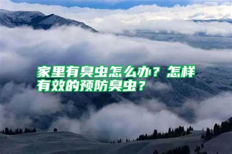 家里有臭虫怎么办怎样有效的预防臭虫 臭虫防治 除四害消杀灭虫网