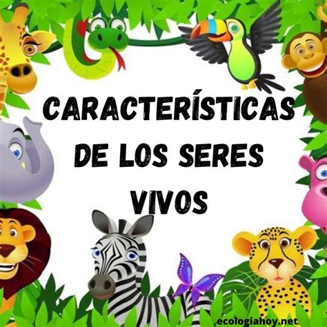 Caracter Sticas De Los Seres Vivos Ecolog A Hoy