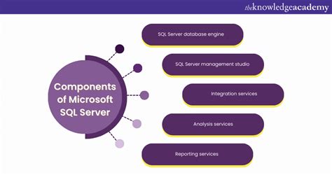 The Top Components Of Sql Server With Definition And Examples
