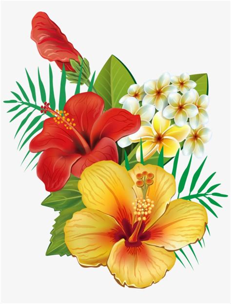 Watercolor Hawaiian Flowers Best Flower Site