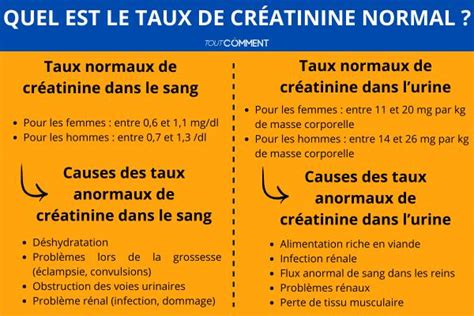 Quel est le taux de créatinine normal Créatinine urinaire et