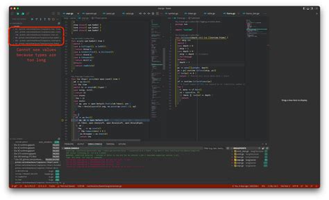 Data Type In Debugger Watch List Hides Variable Value Issue 2569