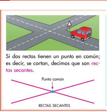 TOMi Digital Rectas Paralelas Secantes Y Perpendiculares