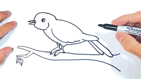 Cómo dibujar un Pajaro Paso a Paso Dibujo de Pajaro
