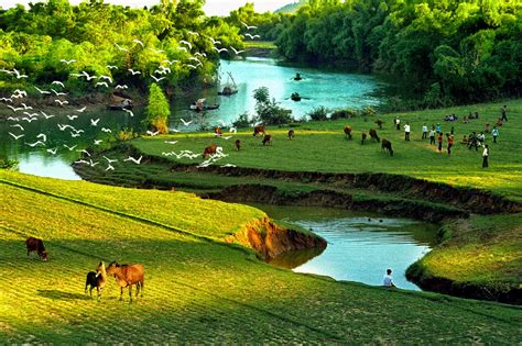 Top 100 Hình ảnh đẹp về làng quê Việt Nam Đầy cảm xúc