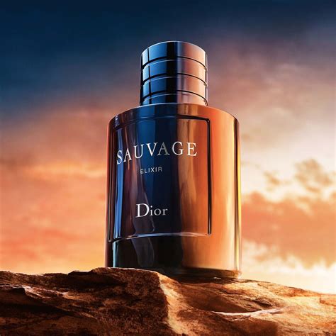 Dior Sauvage Elixir Eau De Parfum Ml Skroutz Gr