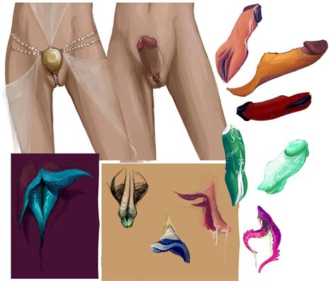 genital miscellany by kriscrash hentai foundry