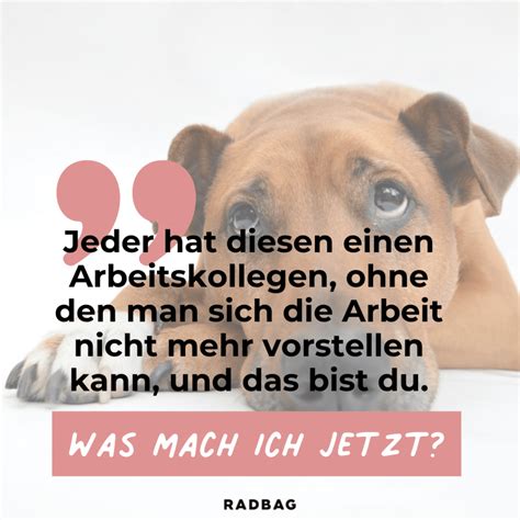 28 Lustige Sprüche Abschied Arbeitskollege Tina P Cochran Blog