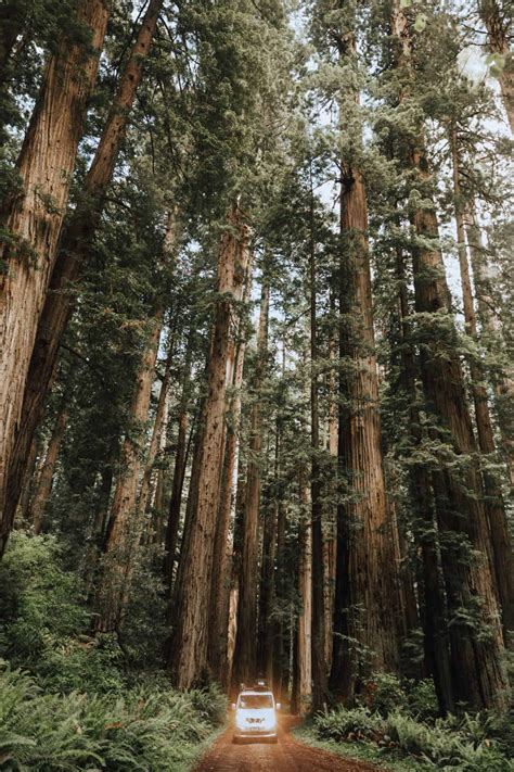 How To Plan A Trip To The Pacific Northwest Day Pacific Northwest