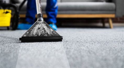 How Much Does Carpet Cleaning Cost Ultimate Price Guide