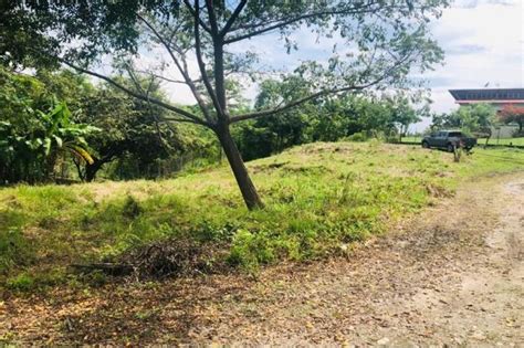 Venta De Terreno De Playa En Punta Barco Chame P130845 InmoPanama