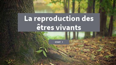 4ème Reproduction des êtres vivants