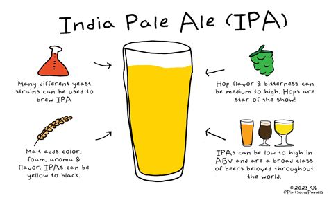 Beer What Is An Ipa Pints And Panels