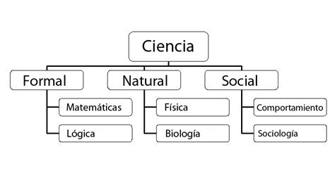Cuántas ramas de la ciencia hay Curiosoando