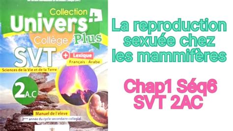 Univers plus SVT 2AC La reproduction sexuée chez les mammifères YouTube
