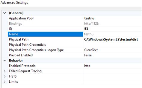 Vue Js How To Deploy Nuxt With IIS Stack Overflow