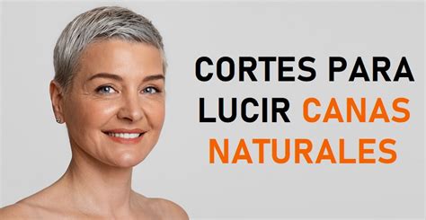 Top 120 Modernos Cortes De Pelo Con Canas Abzlocal Mx