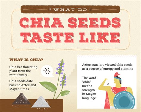 What Do Chia Seeds Taste Like Bob S Red Mill