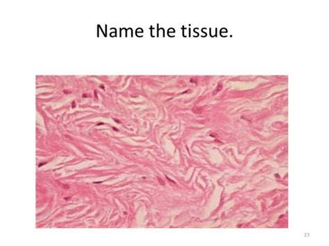 Chpt Bio Flashcards Quizlet
