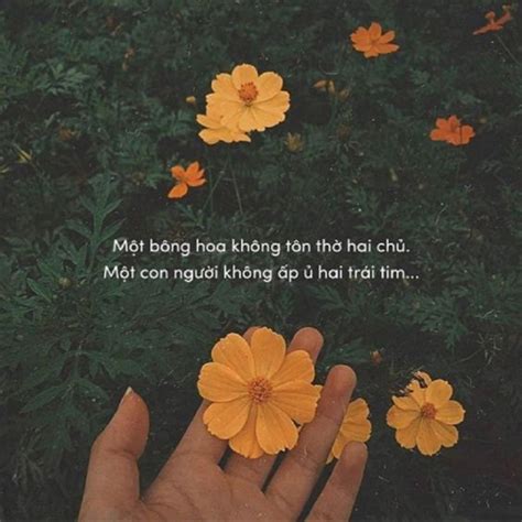 Stt Hay Khi Đăng Ảnh Bí Quyết Tạo Nội Dung Cuốn Hút Cho Bức Ảnh Của