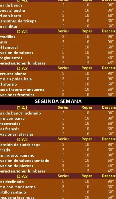 Rutina para primer día de gimnasio hombre Squad Fitness