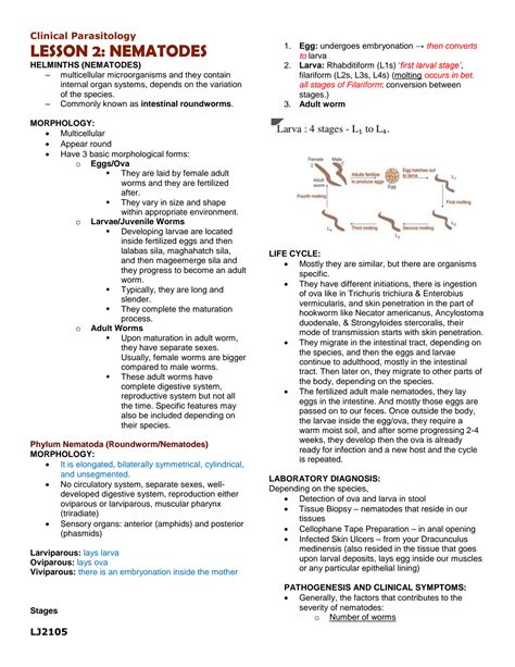 Solution Parasitology Nematodes Notes Studypool