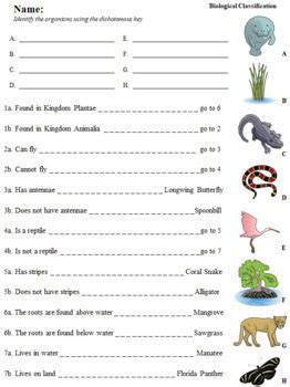 Biodiversity And Classification Bundle By Biology Domain TpT