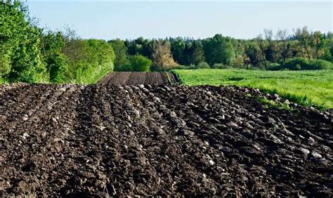Cómo saber si la tierra es buena para sembrar Descúbrelo aquí
