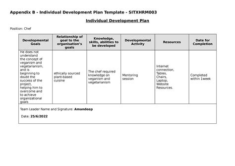 Individual Development Plan Examples For Operations Printable