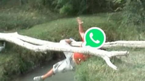 Con Memes Usuarios Reaccionan A Nueva Ca Da De Whatsapp