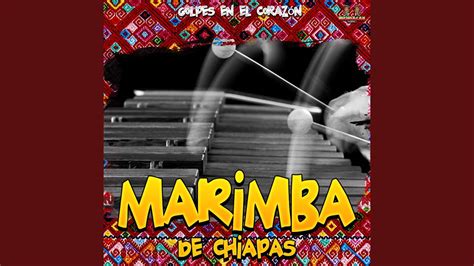 Tu Voz Youtube