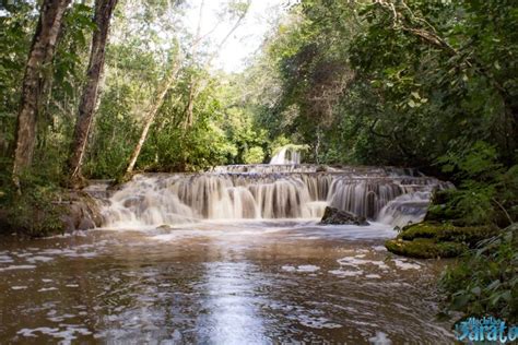 A Small Waterfall In The Middle Of A Forest With Lots Of Water Flowing