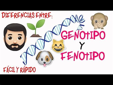 Diferencia entre genotipo y fenotipoSOLUCIÓN