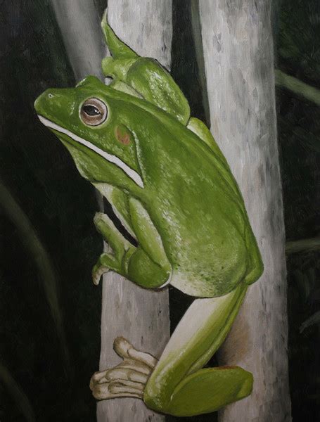 Bild Tiere Tiermalerei Frosch Irina Wall Von I Wall Bei KunstNet