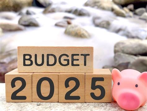 Finance And Economy Concept Budget 2025 Text On Wooden Blocks And