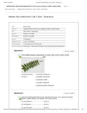 Review Test Submission Lab 1 Quiz Taxonomy Pdf 9 2 22 12 10