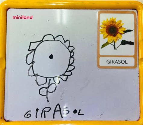 Profes Papel Tijera Vocabulari Primavera