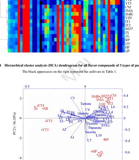 principal component analysis score plot pc 1 vs pc 2 for the first download scientific