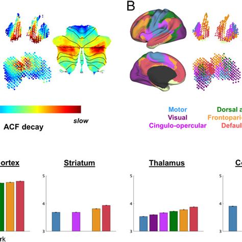 cortical and subcortical timescale gradients relate to functional download scientific diagram