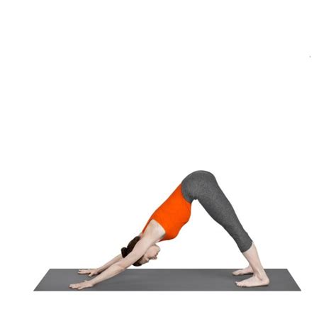 Nowa Pozycja Yogi Telegraph